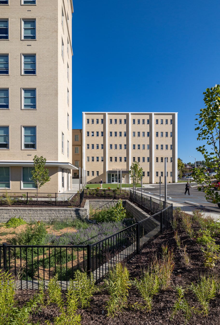 Delmar Divine - Balke Brown Transwestern